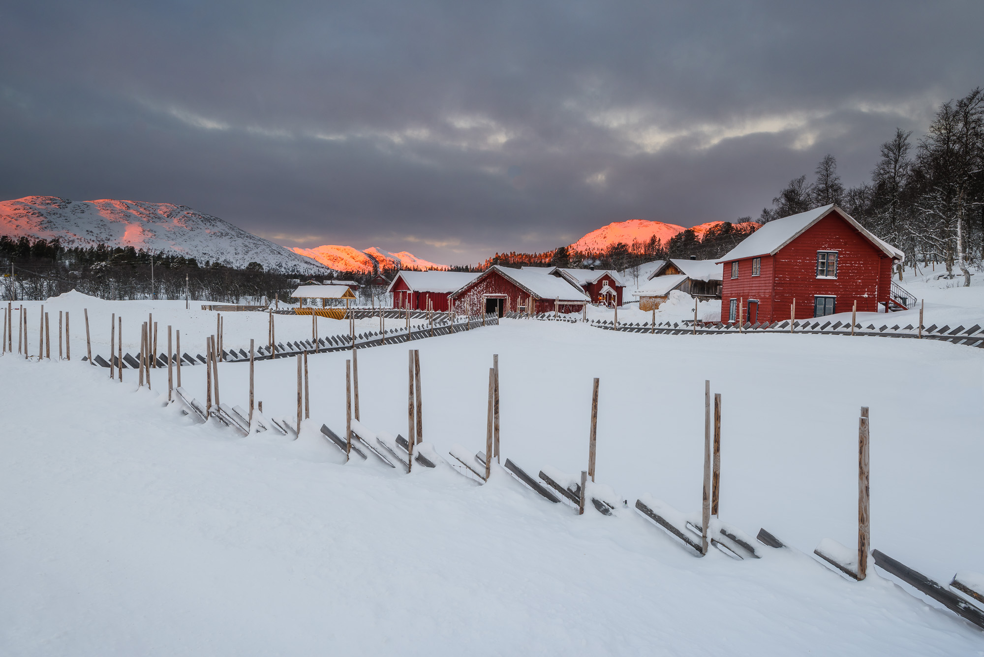 Elgådalen, Hedmark fylke, Norge - Fotograf Mikael Svensson