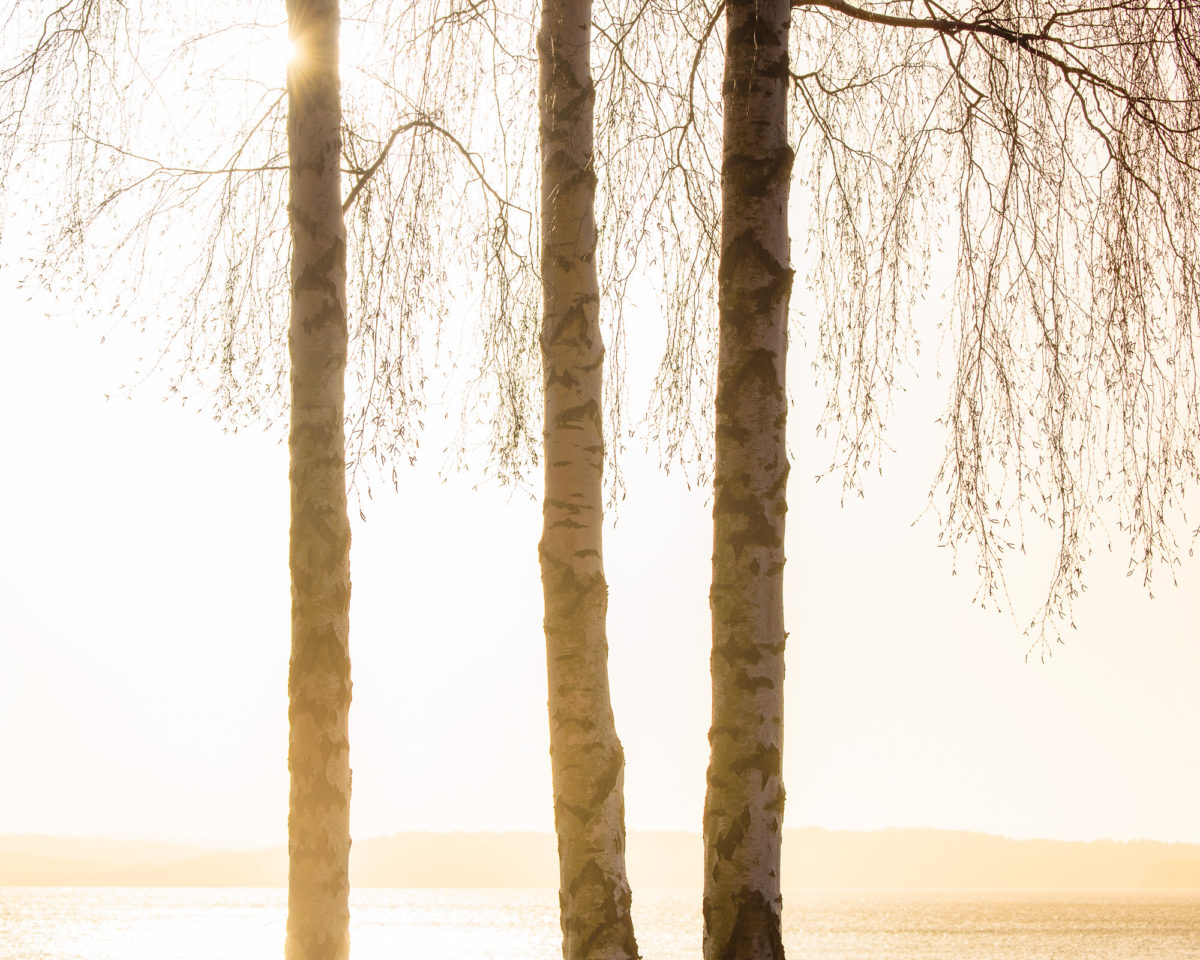 Kungsbackafjorden, Halland - Fotograf Mikael Svensson