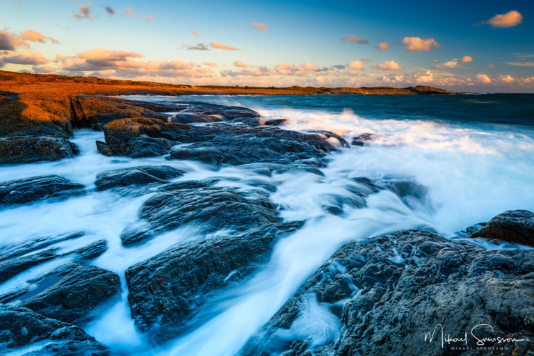 Näsbokrok Naturresevat, Halland - Fotograf Mikael Svensson